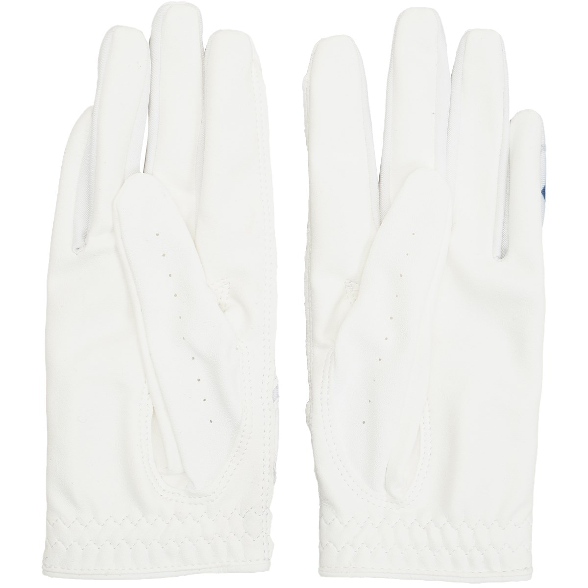 【アウトレット】イーコンフォート グローブ 両手用 レディス(【女性】グローブ)|Foot Joy(フットジョイ) FGLE2PRの通販 ...