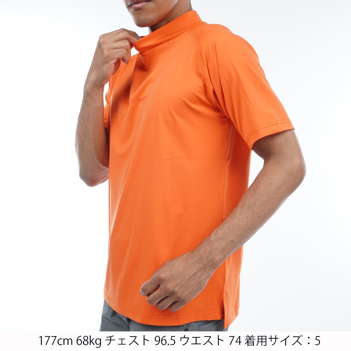 【セール・アウトレット】BIG LUCHA ハイネック半袖Tシャツ(半袖シャツ・ポロシャツ)|Russeluno Golf(ラッセルノ) RG ...